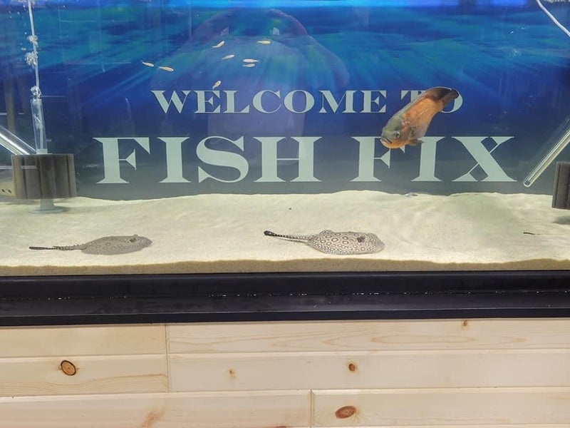 Home | Fish Fix
